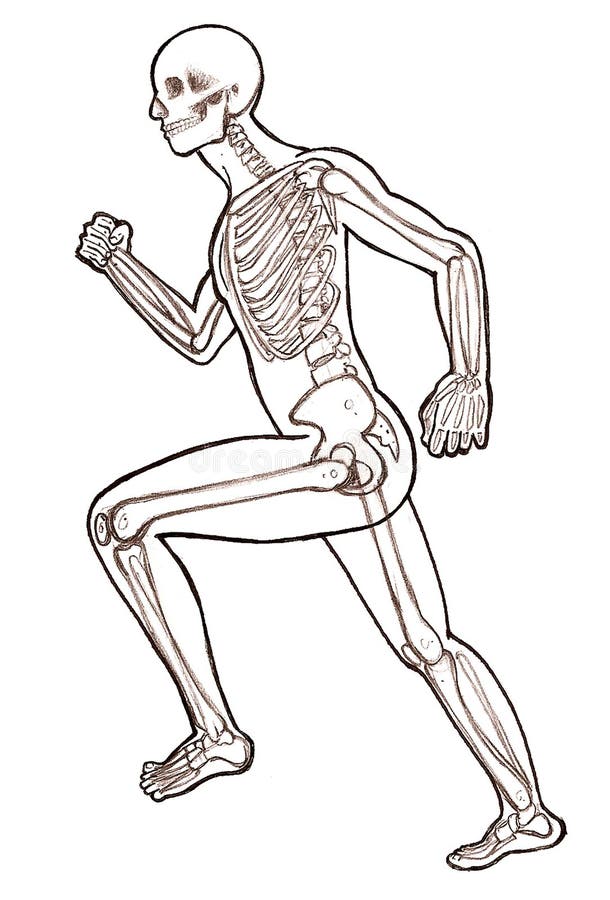 Running Man X Ray Skeleton stock illustration. Illustration of jogger ...