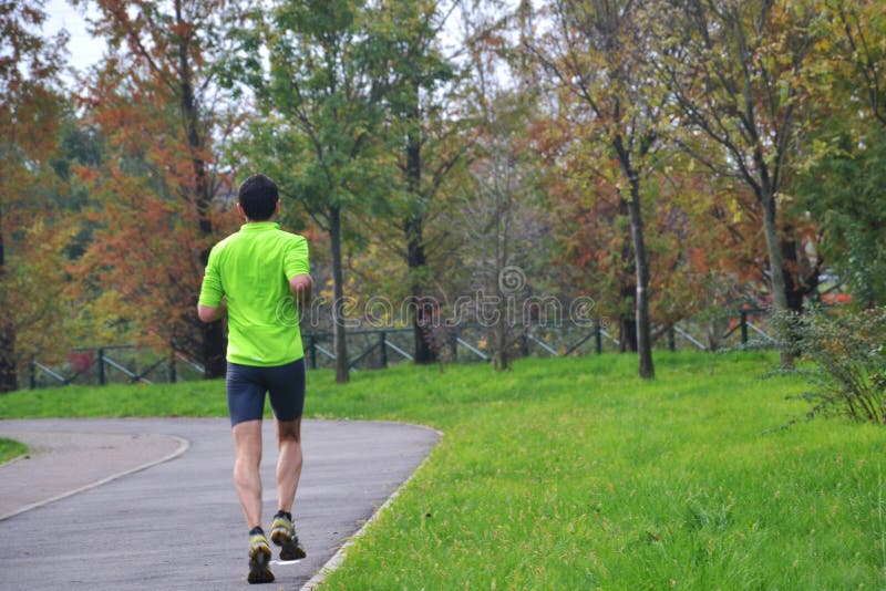 Running stock photo. Image of running, tree, forest - 111703898