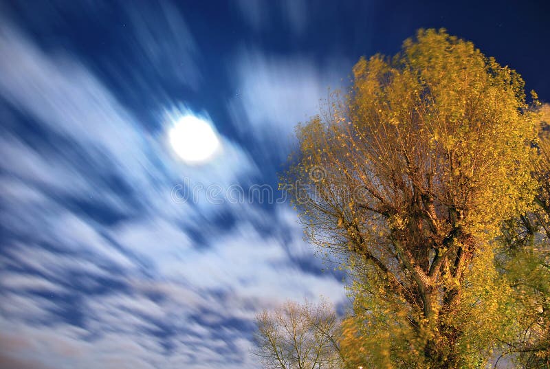 Running Moon stock photo. Image of nature, moonlight - 13439294