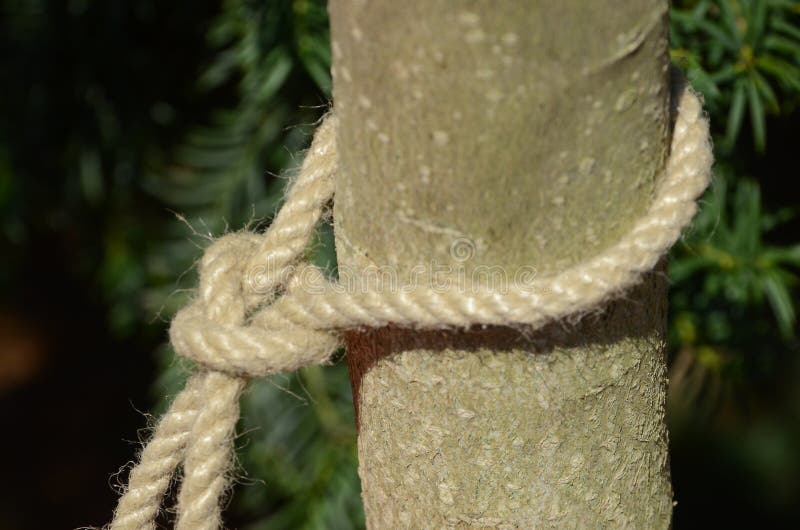 Running noose stock photo. Image of security, line, knots - 122909230