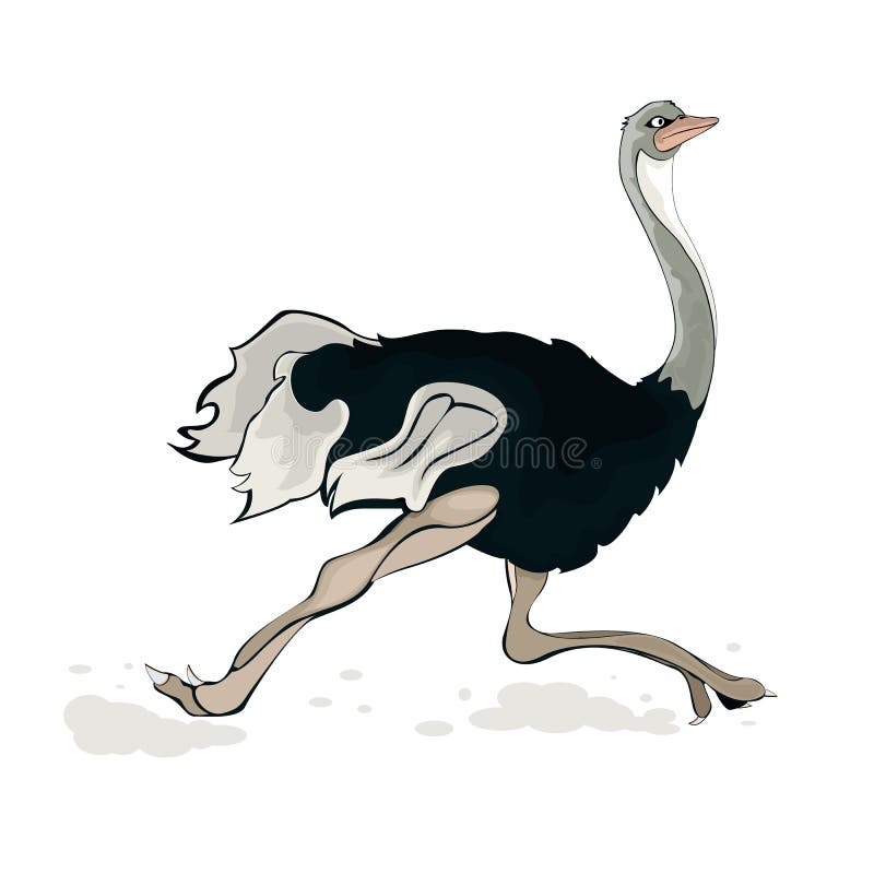 Ostrich Emu bird. stock vector. Illustration of exotic - 103946423