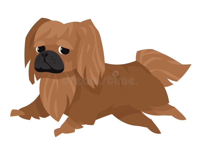 Cartoon Pekingese Stock Illustrations – 427 Cartoon Pekingese Stock ...