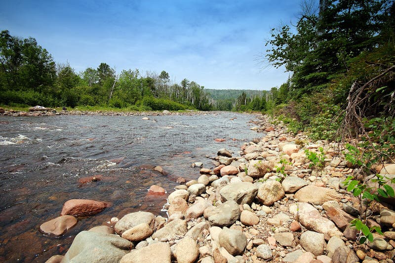 Running River stock photo. Image of shoreline, trout, northern - 964236