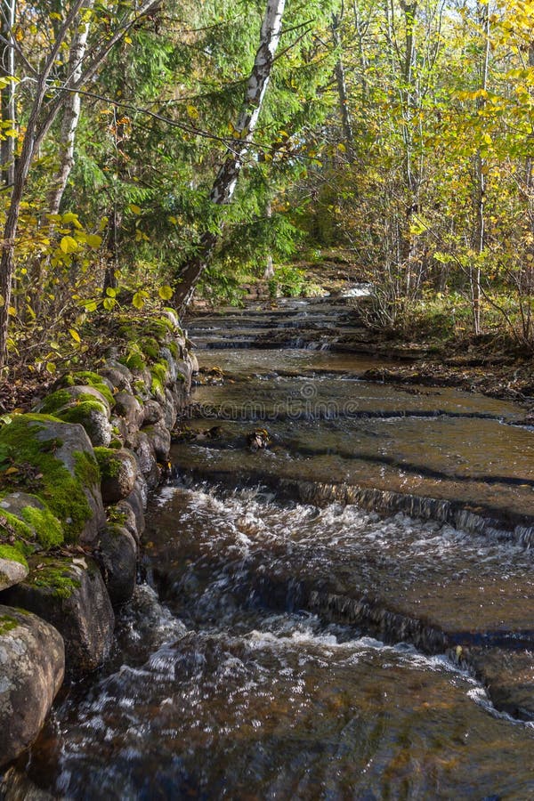 A River Running through the Colorful Woods Stock Photo - Image of ...
