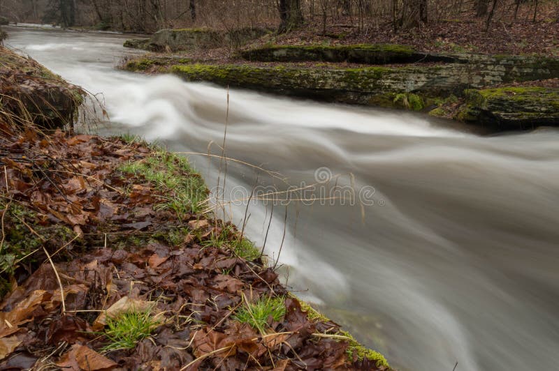 A Running River Flows through the Forest Stock Image - Image of change ...