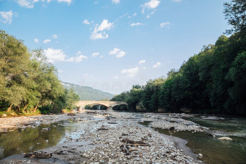 A Running River in the Forest between Green Trees Stock Image - Image ...
