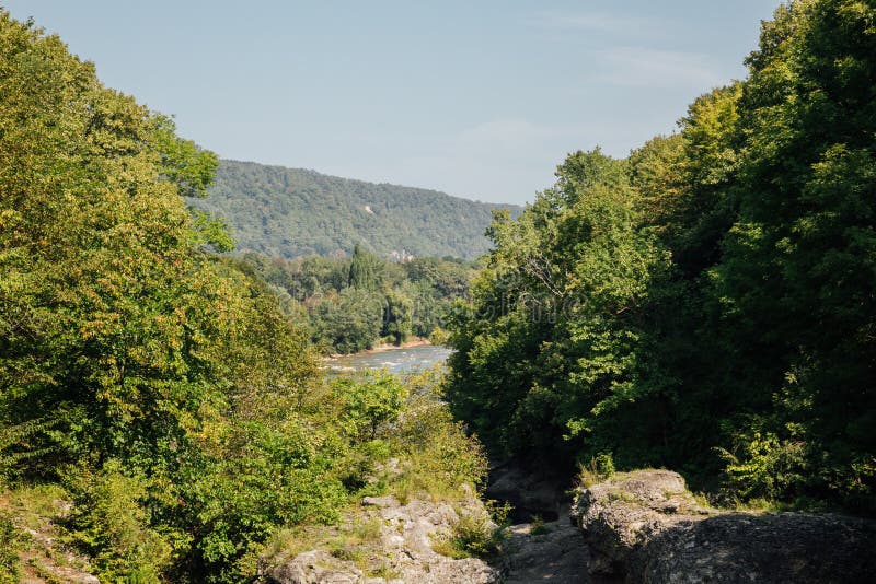 A Running River in the Forest between Green Trees Stock Photo - Image ...