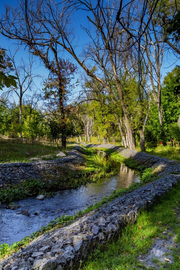Running River among Trees with Reflection of Sun Stock Image - Image of ...