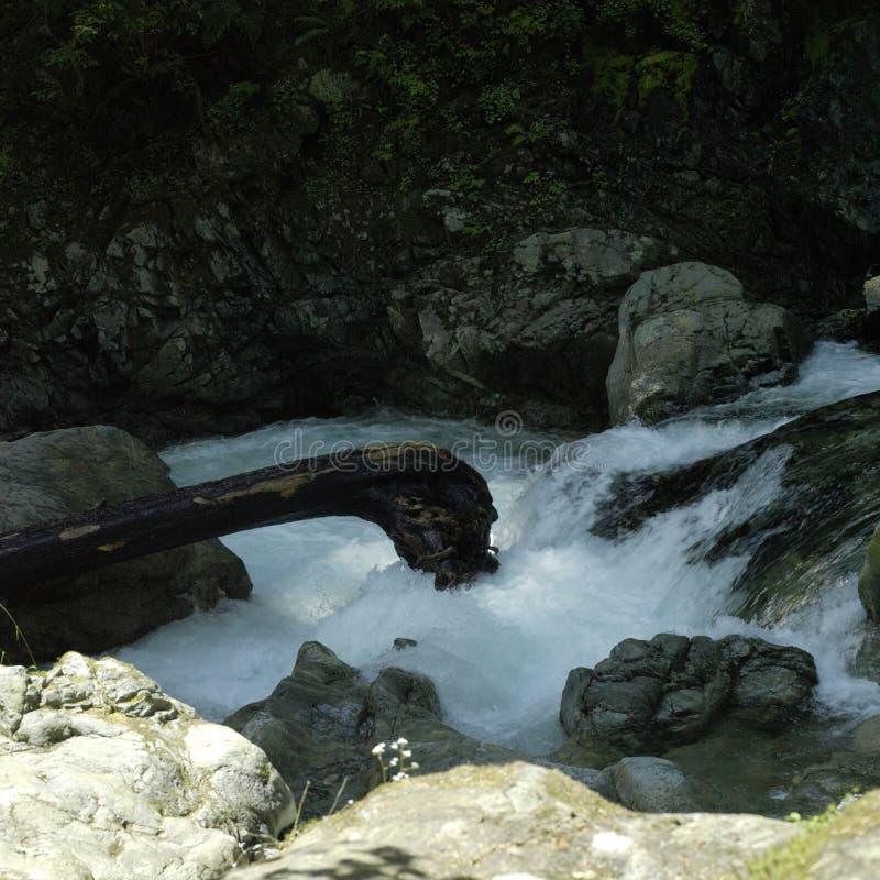 Running river water stock photo. Image of force, flow - 48500474