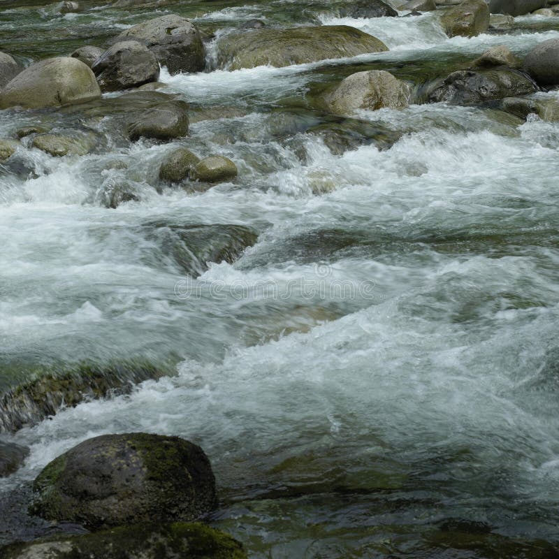 Running river water stock image. Image of lush, green - 48500489