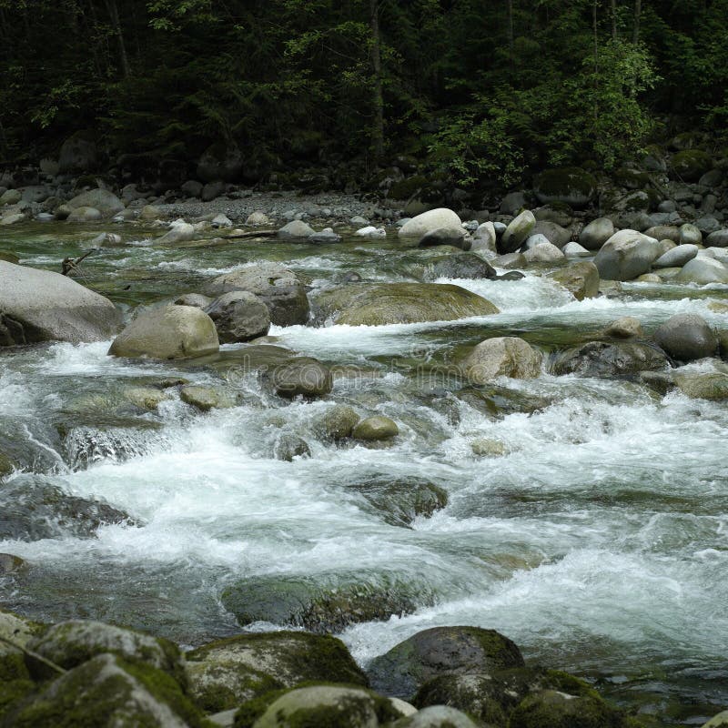 Running river water stock photo. Image of fresh, froth - 48500468