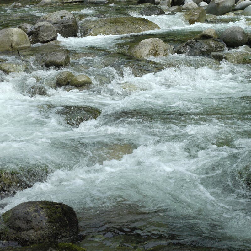 Running water stock image. Image of idyllic, freshness - 2445337