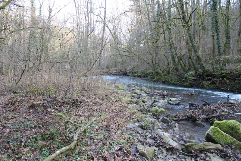 Running river stock photo. Image of green, nature, spring - 86155966