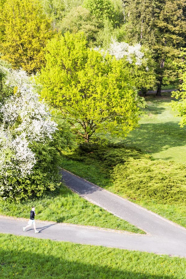 Running round the path stock photo. Image of morning - 71296854