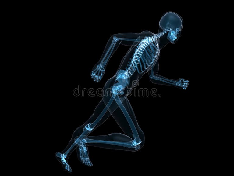 Skeleton Running Man Stock Illustrations – 585 Skeleton Running Man ...