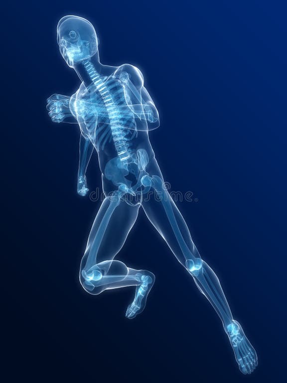 Running skeleton stock illustration. Illustration of transparent - 12989102