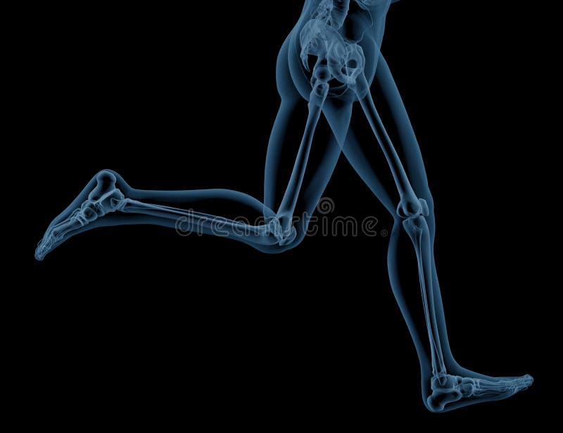 Running skeleton stock illustration. Illustration of bones - 19017089