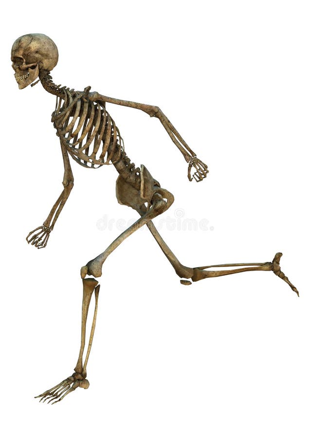 Running human skeleton stock illustration. Illustration of death - 8721539