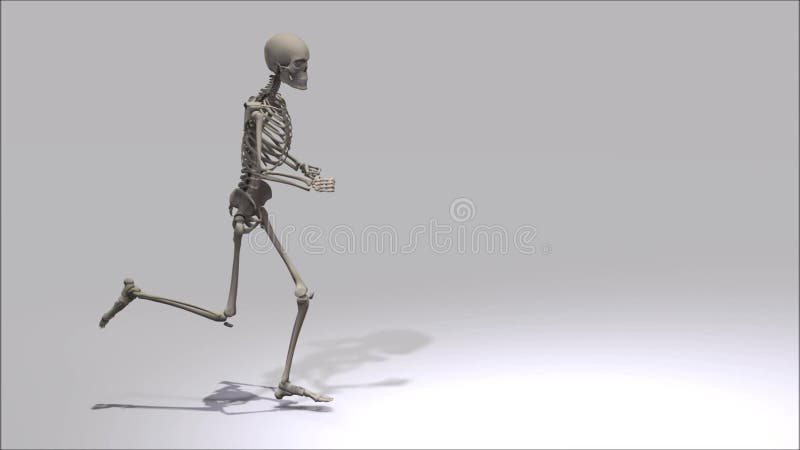 Walking Skeleton stock video footage. Video of progress - 35663933
