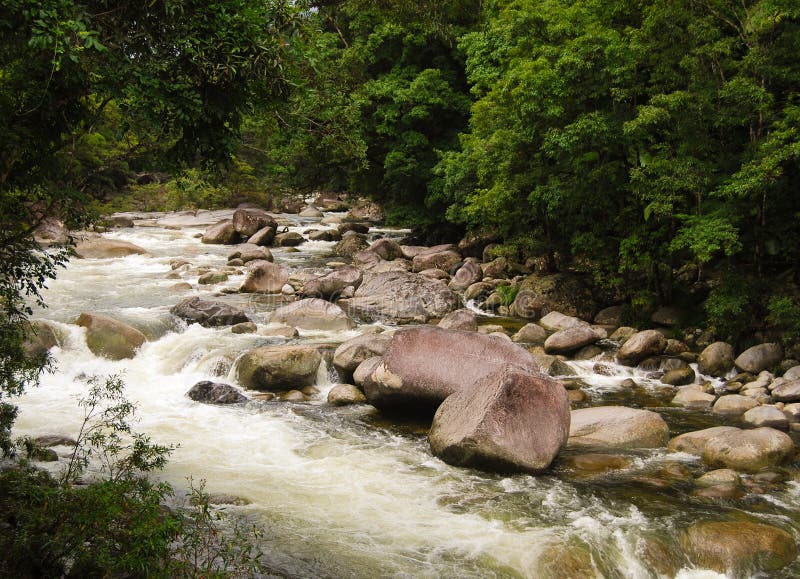 Running stream stock photo. Image of close, green, rivulet - 12567662