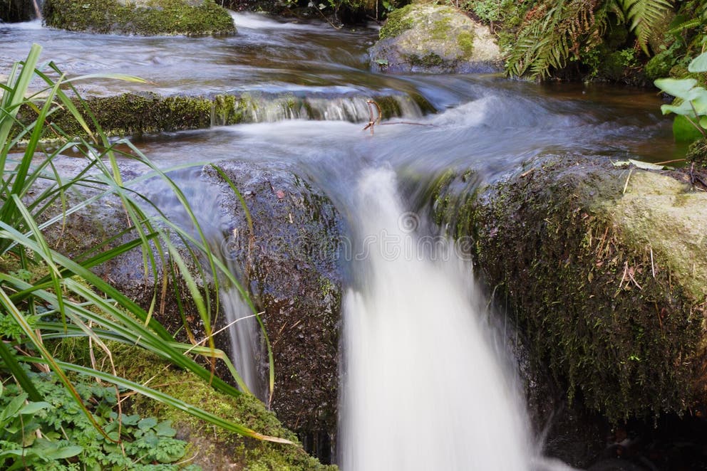 Running stream stock image. Image of spray, foliage, beauty - 537795
