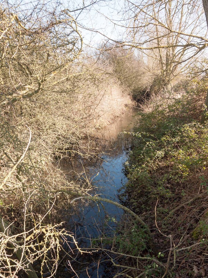 Running Stream through Countryside Below Trees To Side Bare Spring ...