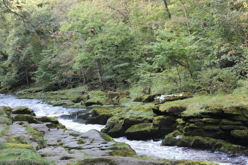 A running stream stock image. Image of flowing, stream - 85189629