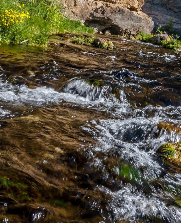 Running Stream stock photo. Image of running, still, graphics - 80231092