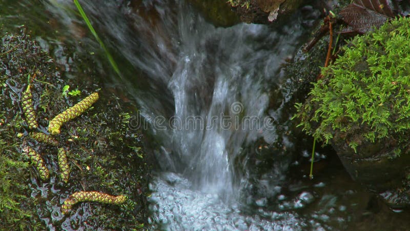 Running Stream of Treated Water from Pipe into Storage Basin Stock ...