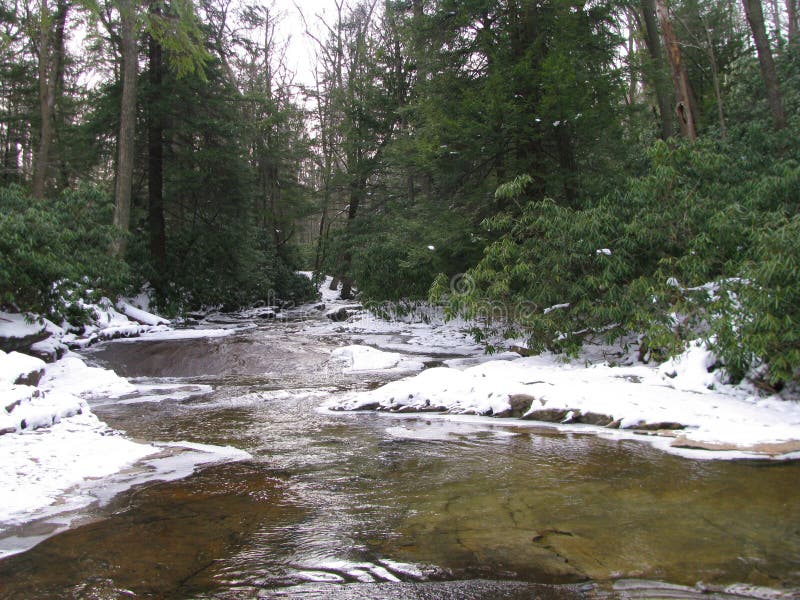 Running Stream in the Winter Woods Stock Photo - Image of woods, snow ...
