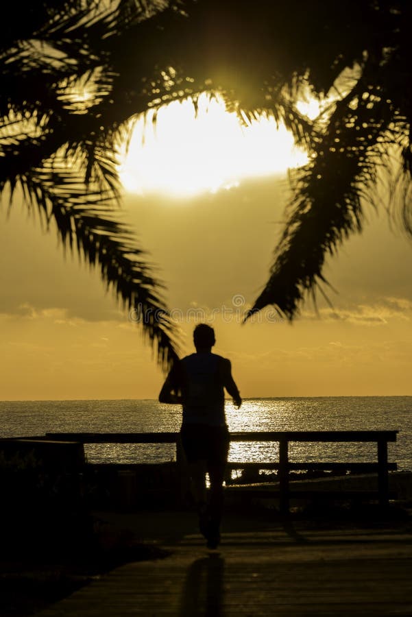 Running at sunset. stock image. Image of habits, morning - 119728627