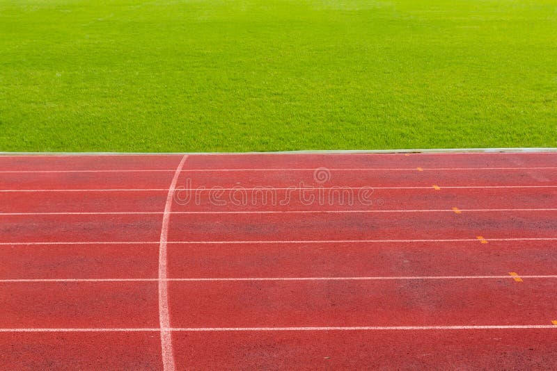 Green grass field stock photo. Image of cultivated, flowerbed - 94622652