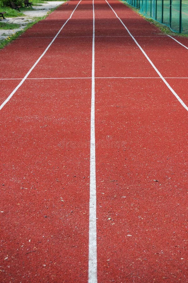 Running track stock image. Image of flora, track, trees - 79526577