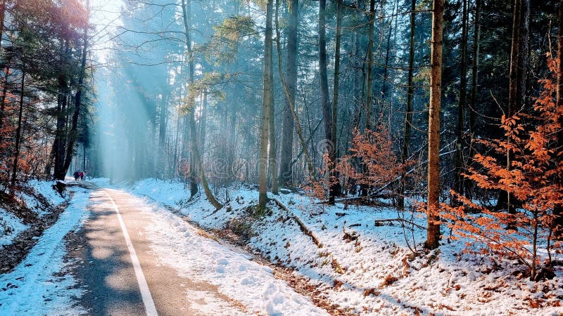 Running Track in the Snow Illuminated by the Sun S Rays Stock Photo ...