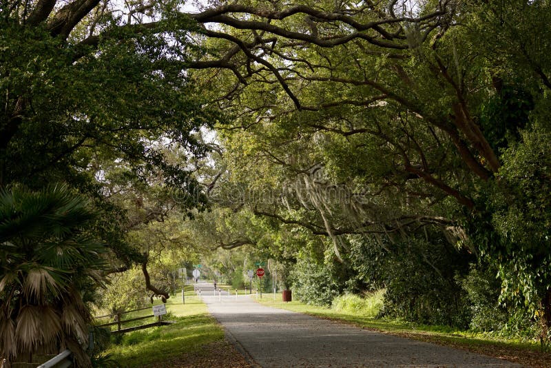 Running Trail stock image. Image of shade, spring, running - 68864367