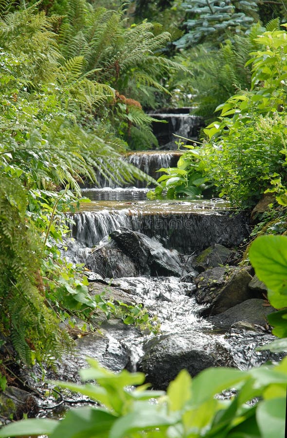 Running Water stock photo. Image of stream, leaves, fall - 1098742
