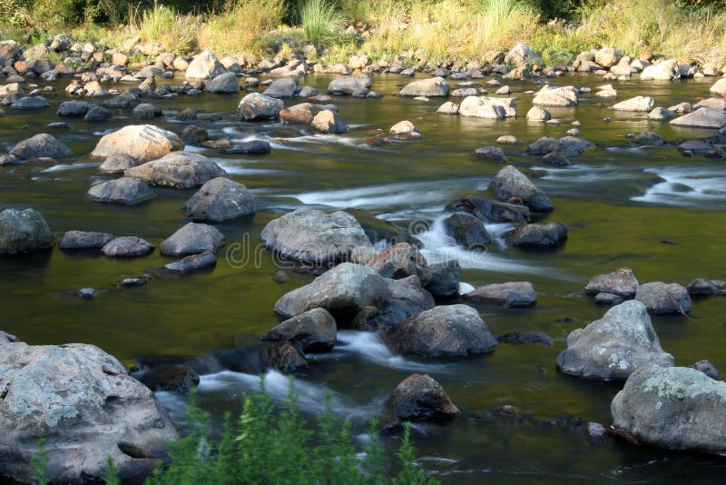 Running water 2 stock photo. Image of running, water, bush - 4537076