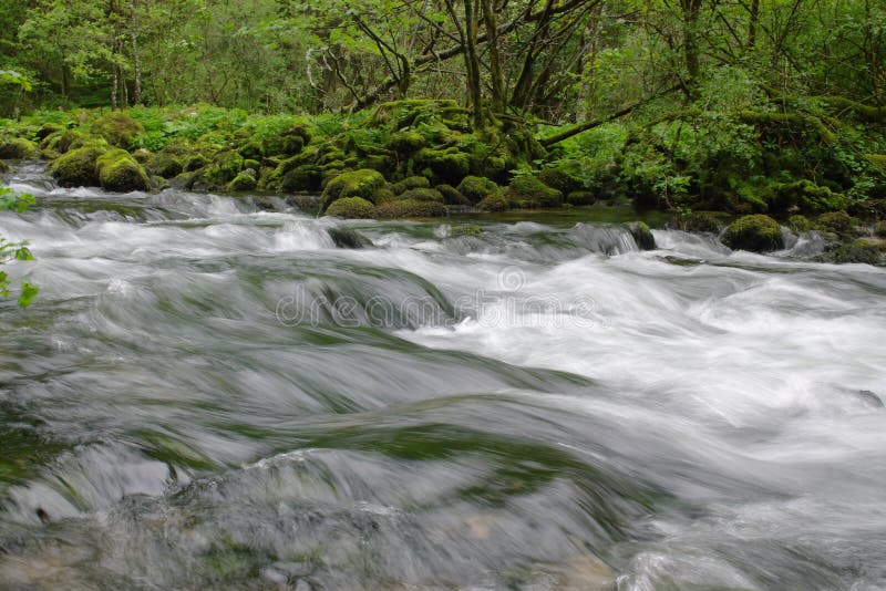 Running water stock image. Image of idyllic, freshness - 2445337