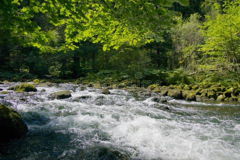 Running water stock photo. Image of blurred, motion, pure - 3164038