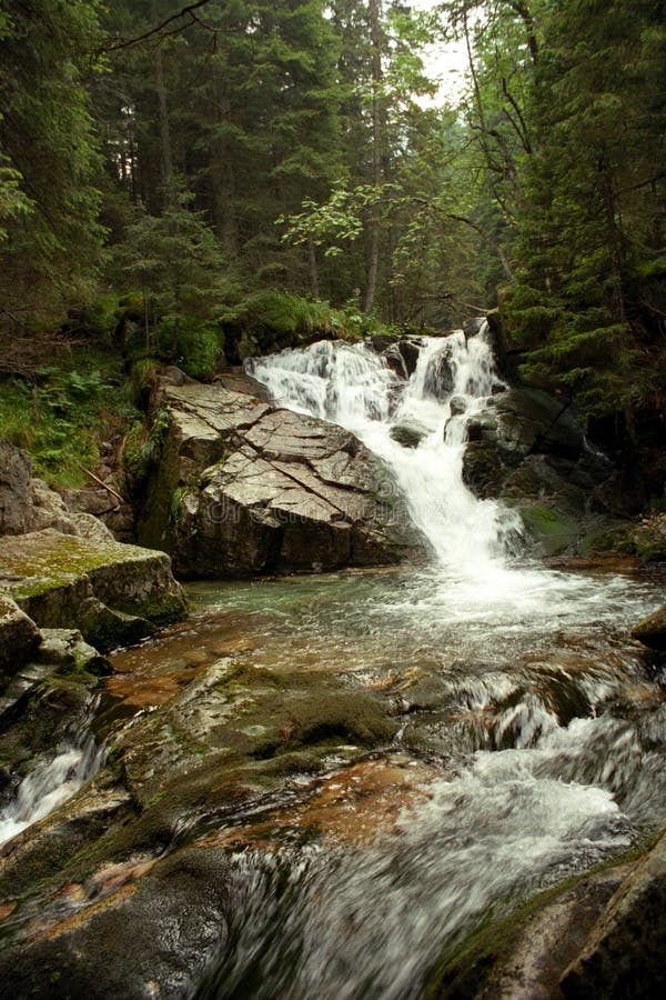 Running water stock image. Image of water, trees, flowing - 8711219