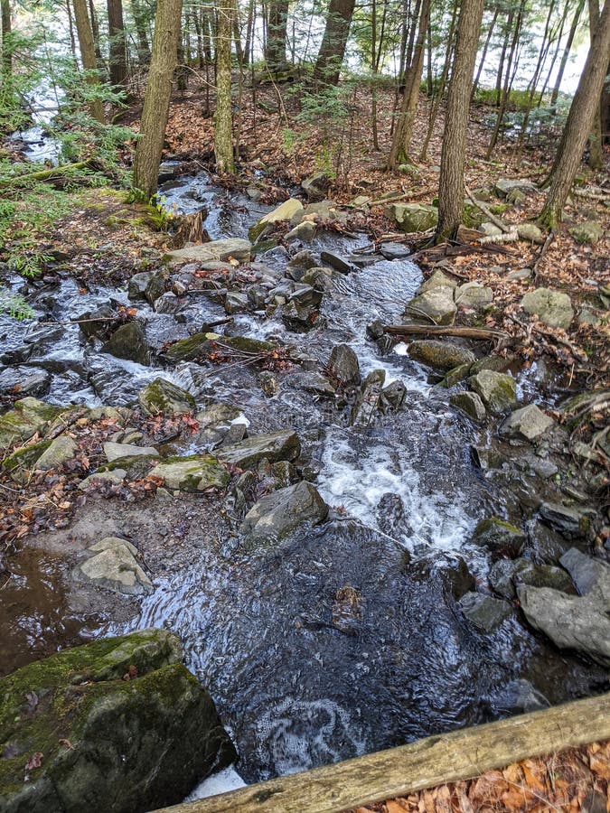 Running Water on Hiking Trail Under Bridge Stock Image - Image of ...