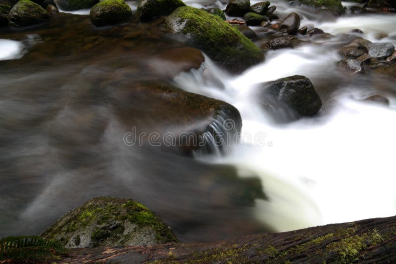 Running water stock image. Image of fresh, forest, stream - 51114977