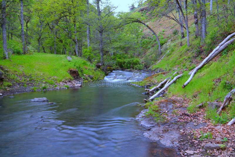 Beauty of a river stock photo. Image of american, beauty - 82267594
