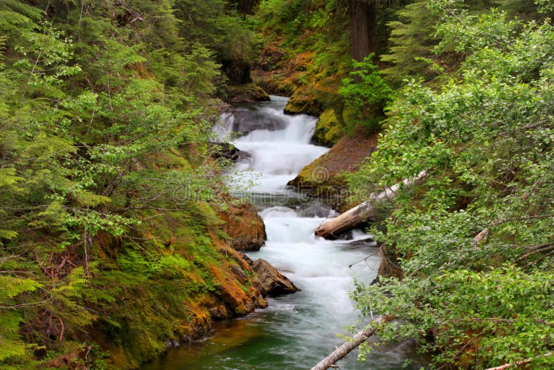 Running water stream stock image. Image of water, landscape - 33400951