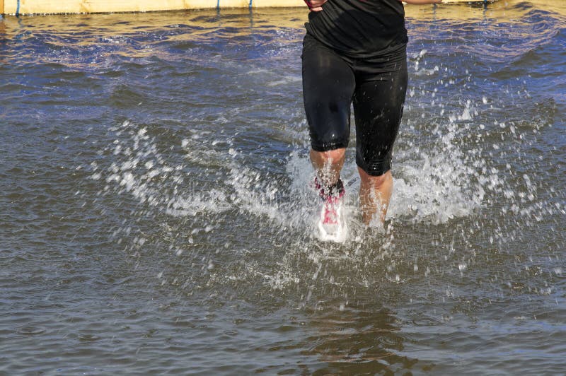 Running in water stock photo. Image of action, summer - 31582340