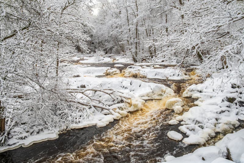 Running Water in a River in a Beautiful Winter Forest Stock Photo ...