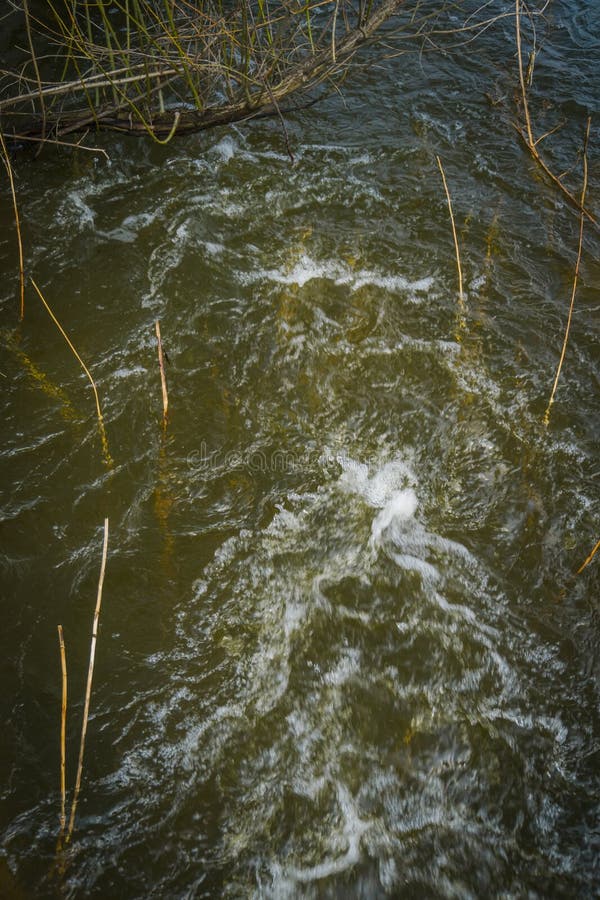 Running Water in the River stock photo. Image of background - 96174846