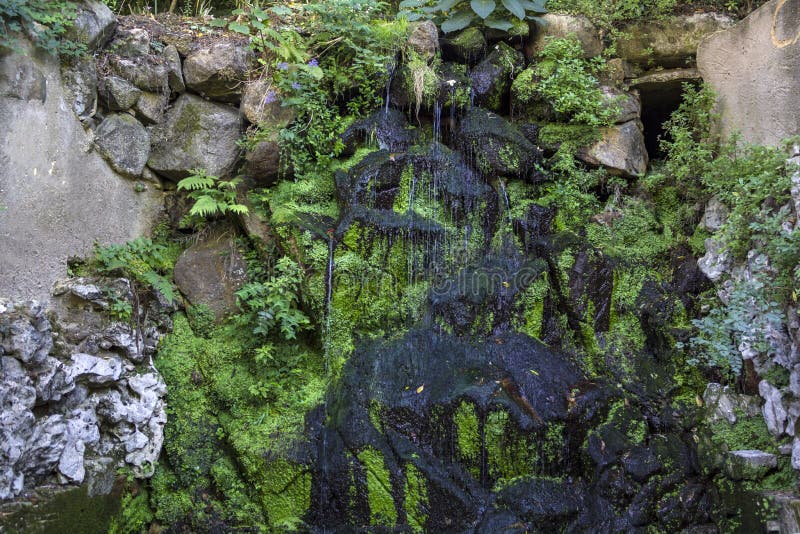 Running Water on a Rock Wall Stock Photo - Image of moss, beauty: 128419856