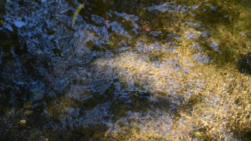 Running Water in a Stream Under the Sun and Forest Shadows Stock ...