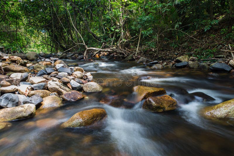 Running of Water Stream from Waterfall Stock Image - Image of tropical ...
